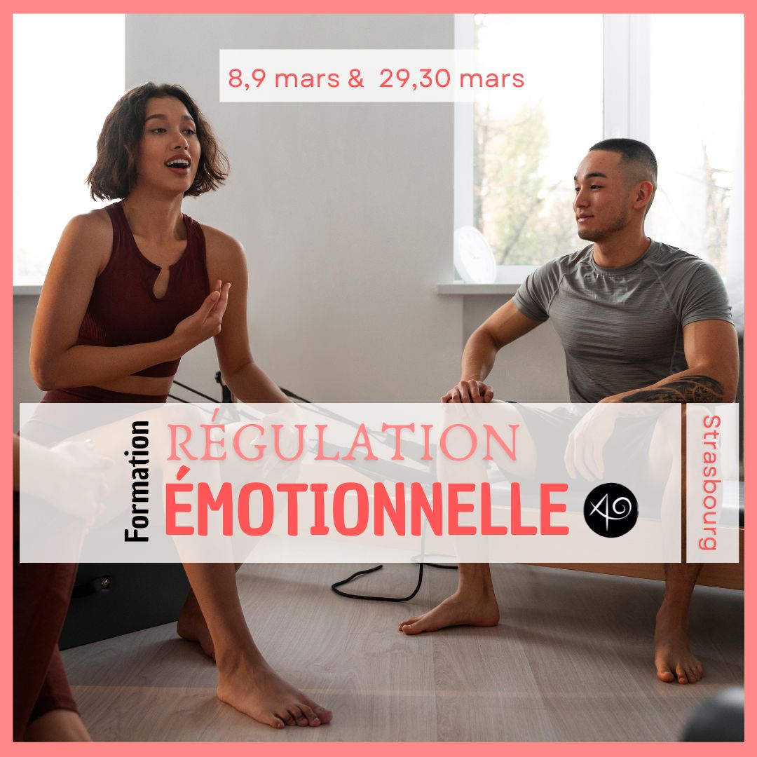 Formation SomaLibération : Régulation émotionnelle - Alexandre Poignard